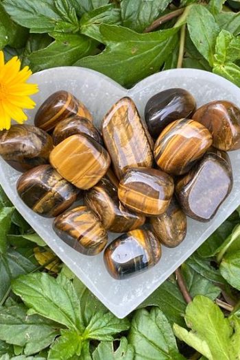 Tumbled Tiger Eye Crystals & Pocket Stones For Sale | Beadage
