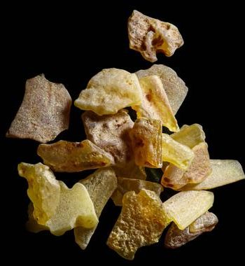Raw Amber, Rough Amber For Sale For Sale | Beadage
